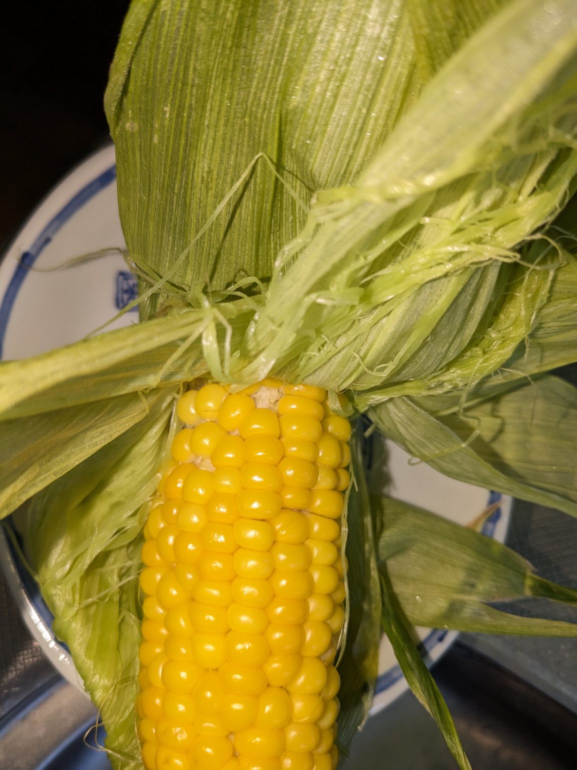 トウモロコシ、枝豆の収穫は朝3時起き！ | ダーチャ庄瀬