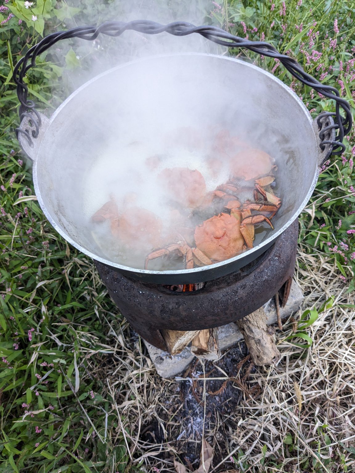 暑い暑いと言っていたら火が恋しい季節となってきました。火遊びの紹介です。 | ダーチャ庄瀬