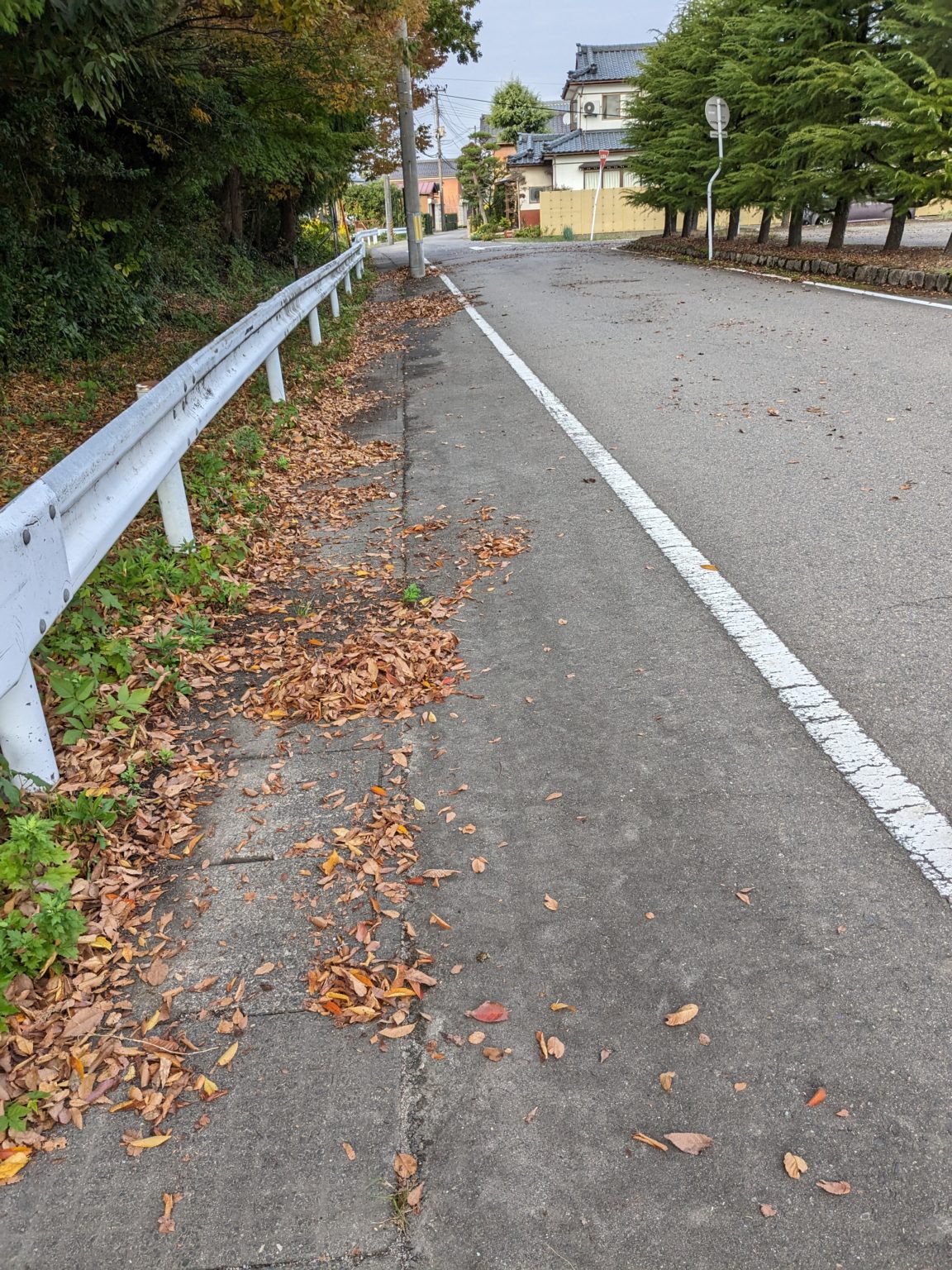晩秋の晴れの日は農作業が大忙しです。11月は雨の多い新潟県では。 | ダーチャ庄瀬