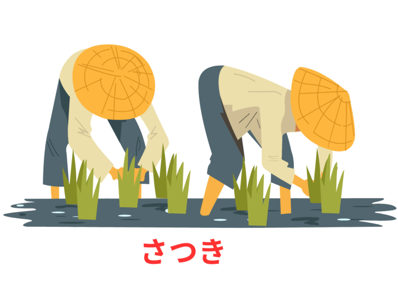 5月になり田植えが始まりました。いろんな植物が芽吹き、花を咲かせています。いい季節です。 | ダーチャ庄瀬