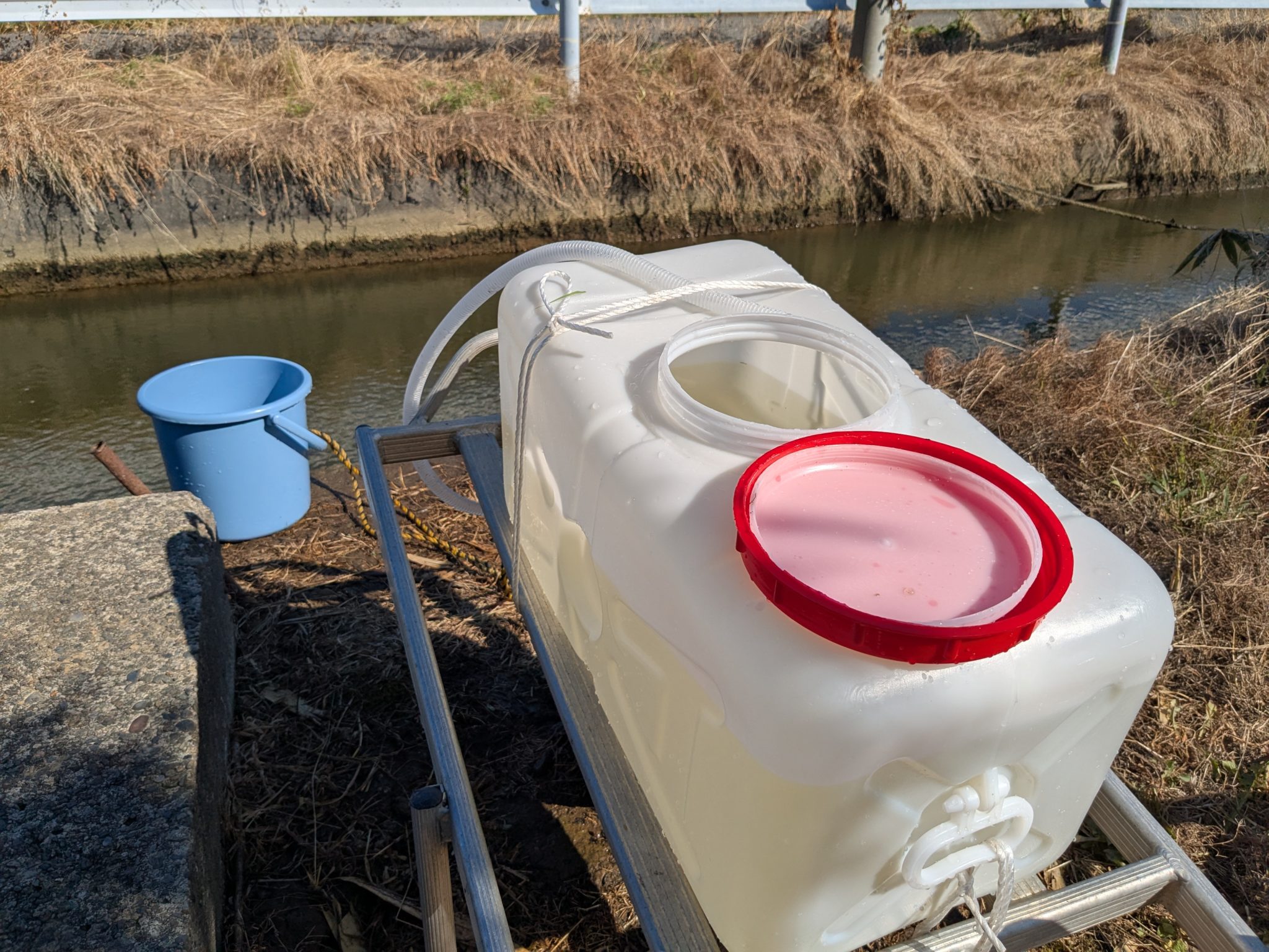 猛暑、干ばつ、越後平野、治水システム | ダーチャ庄瀬