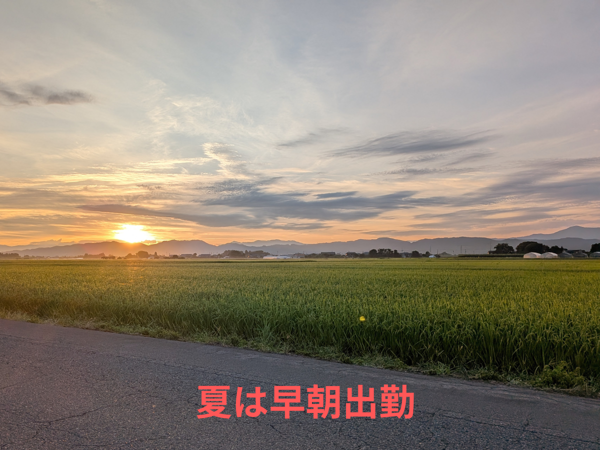 お百姓仕事は前かがみの連続で身体のストレッチが必須。冬野菜の準備中。 | ダーチャ庄瀬